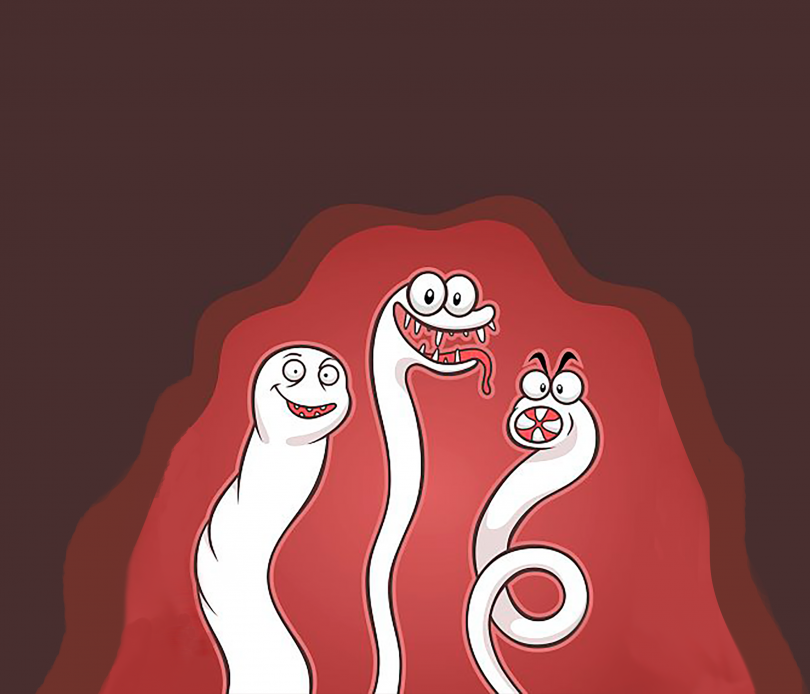 Vermes - Sintomas e Como Tratar | CliqueFarma